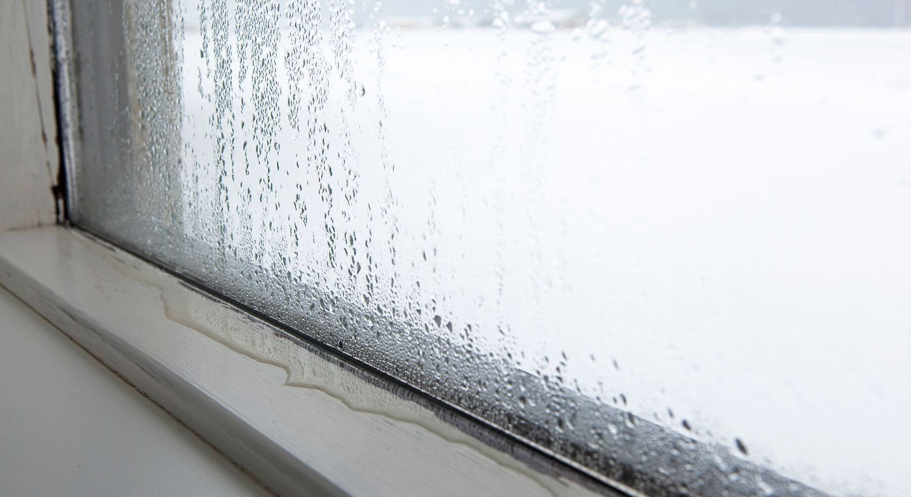 Essential Facts About Mould and Condensation | Preventative Tip